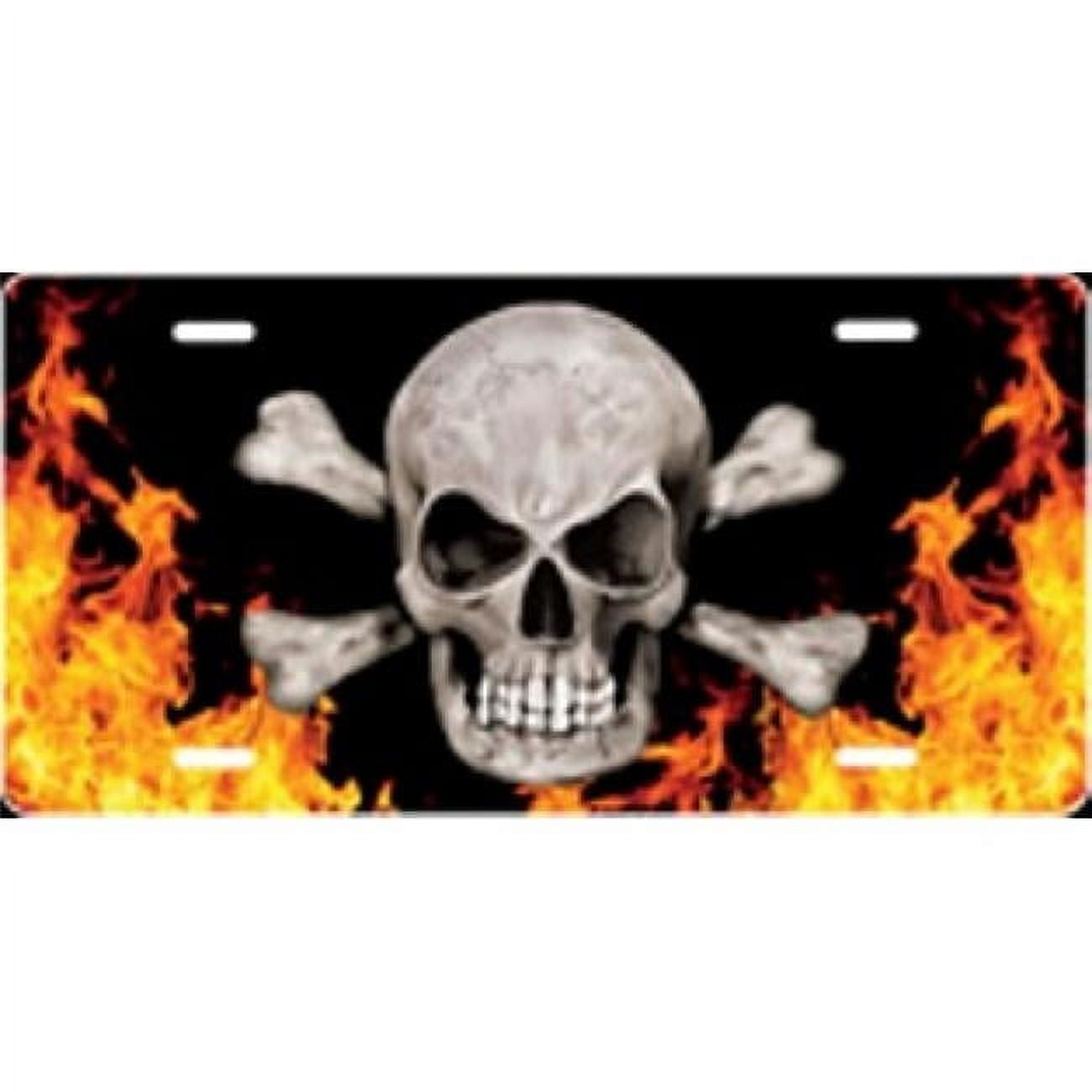 212 Main T3173RFZ 6 x 12 in. Jolly Roger on Flames Airbrush License ...