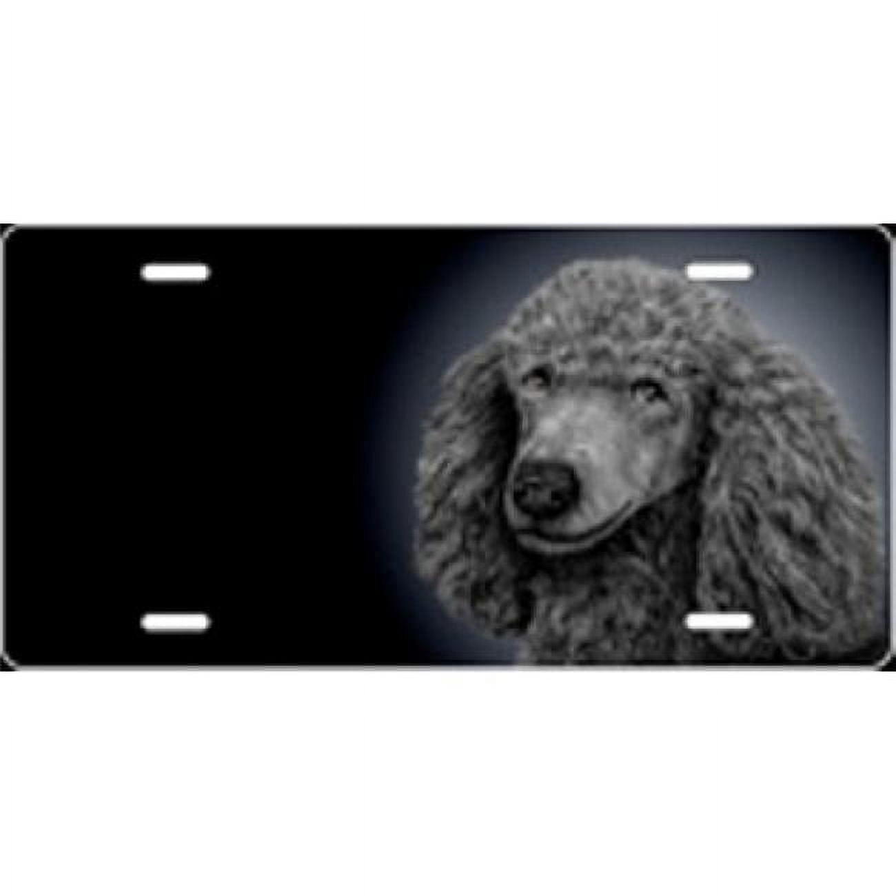 212 Main T3340SZ 6 x 12 in. Silver Poodle Airbrush License Plate, Free ...