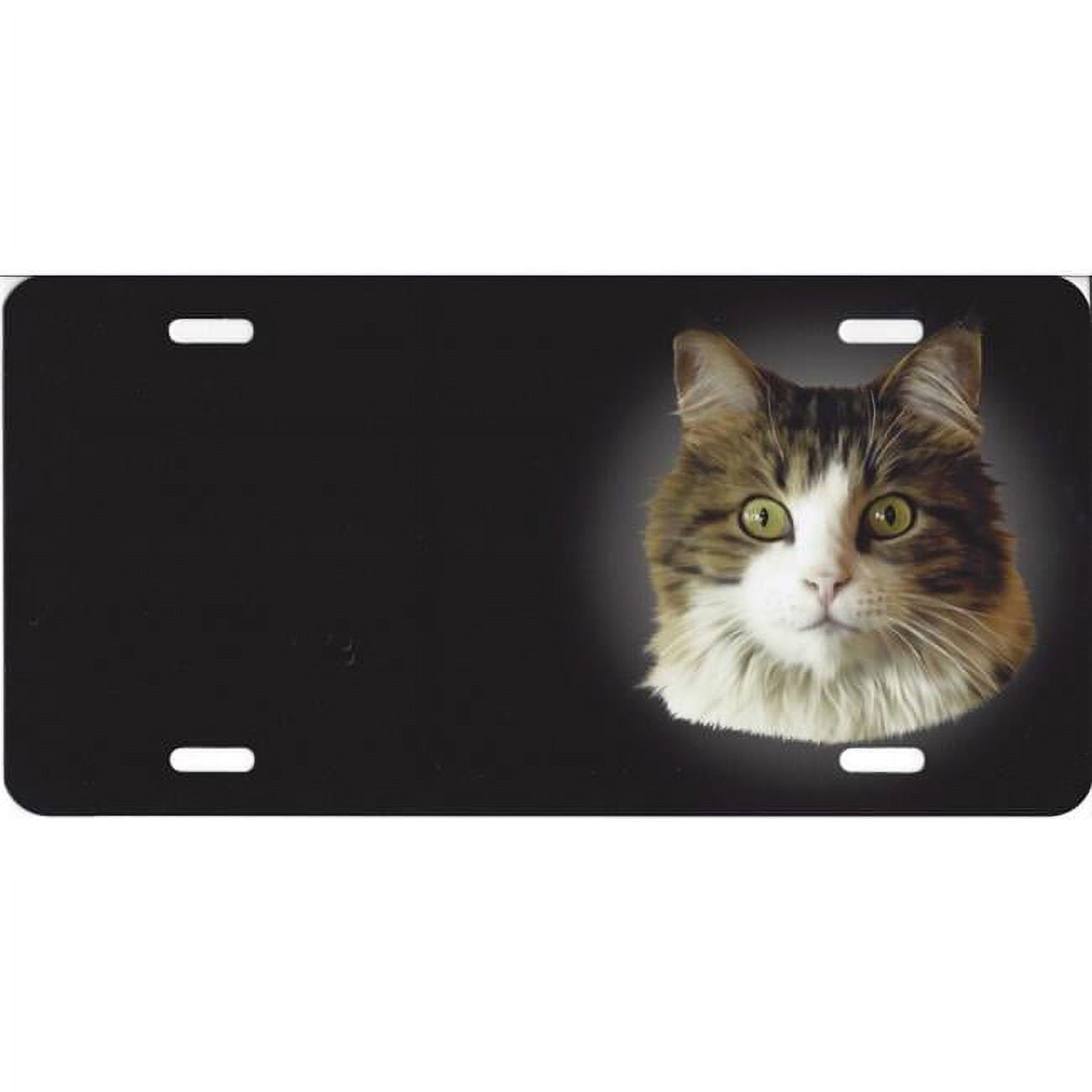 212 Main T3362Z 6 x 12 in. Main Coon Offset Cat License Plate - Walmart.com