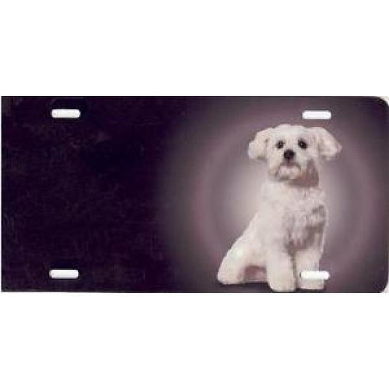 212 Main T3367Z 6 x 12 in. Maltese Airbrush License Plate, Free ...