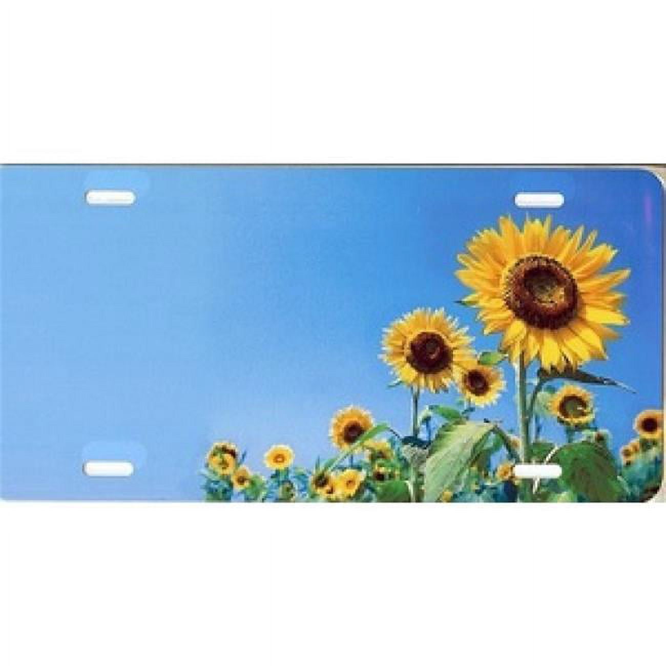 212 Main T9183 Offset Sunflower on Blue License Plate, Free ...