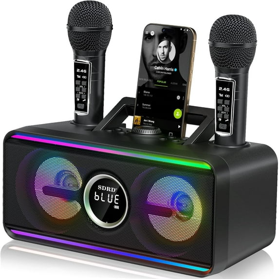 216 Bluetooth Karaoke Machine for Adult Kid with Storage and Charging ...