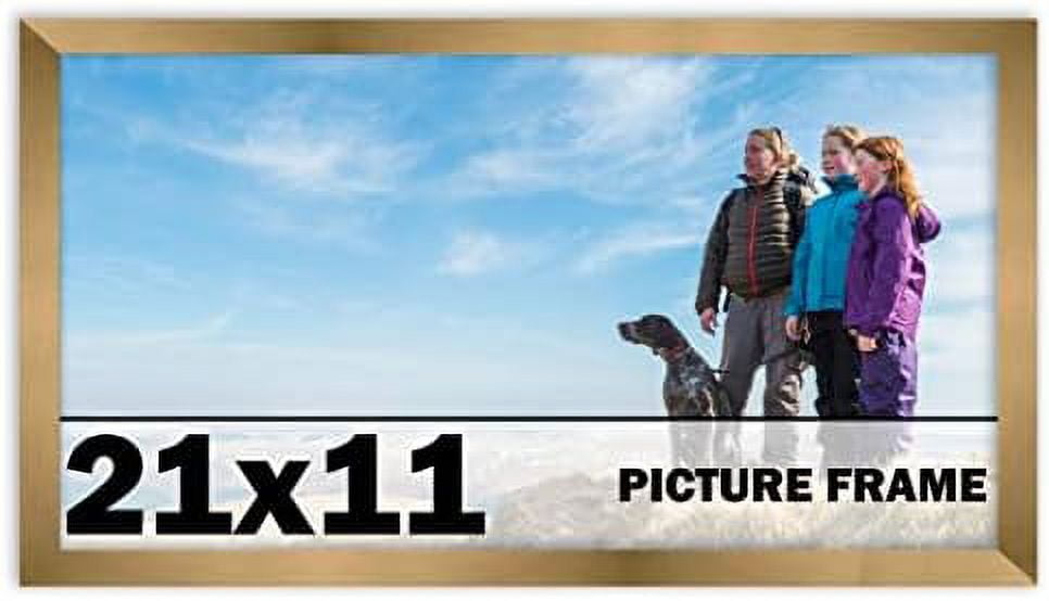 21X11 Frame Bronze Picture Frame - Modern Photo Frame Includes UV Guard ...