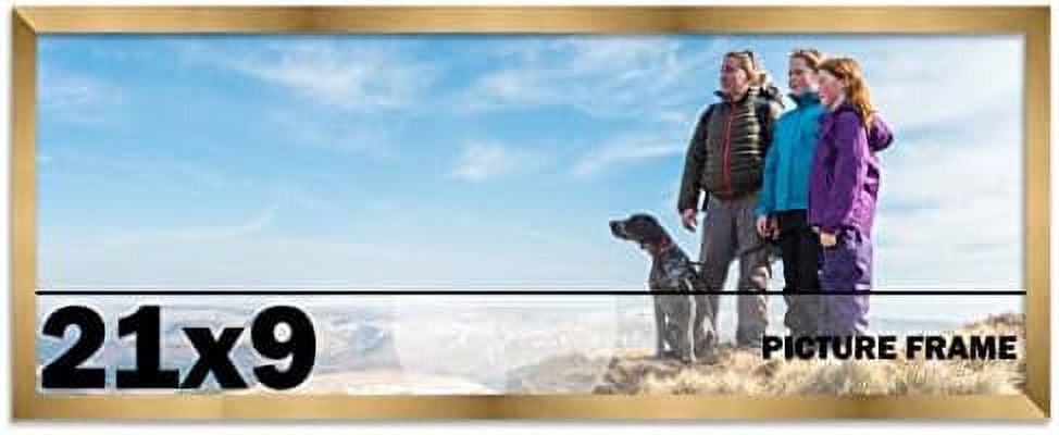 21X9 Frame Bronze Picture Frame - Modern Photo Frame Includes UV ...