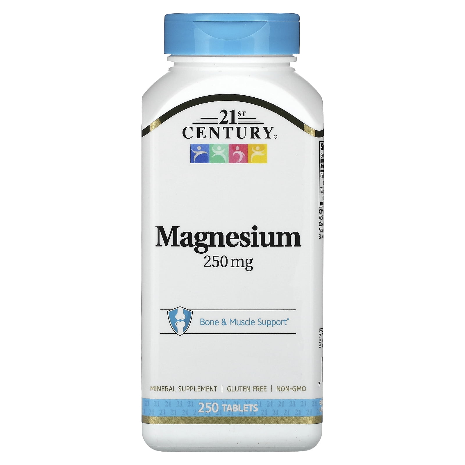 21st Century Magnesium, 250 mg, 250 Tablets - Walmart.com