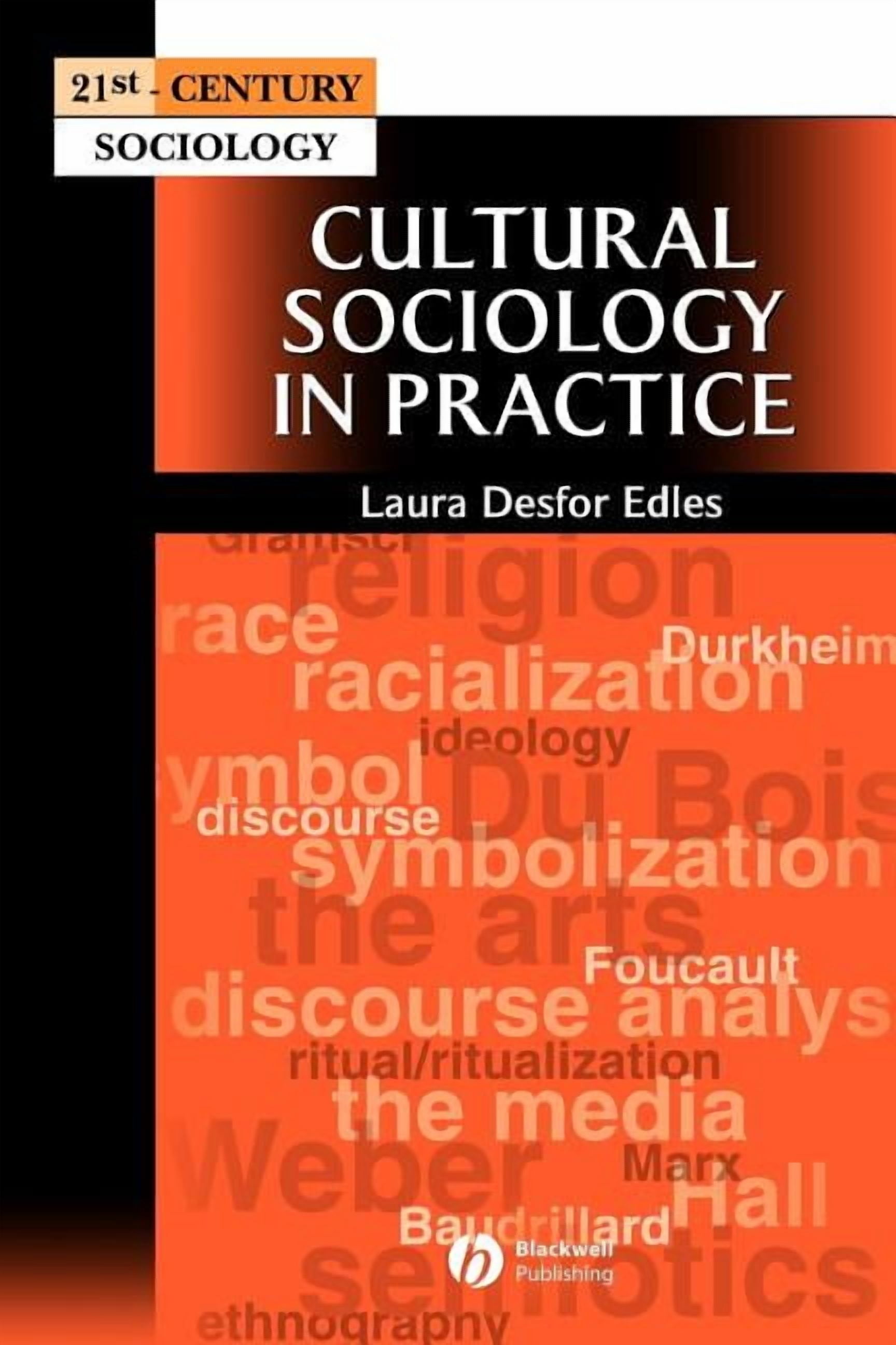 21st Century Sociology: Cultural Sociology in Practice (Paperback ...