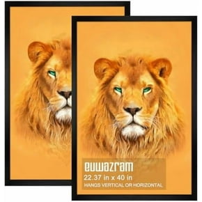 22 375 X 34 Poster Frame