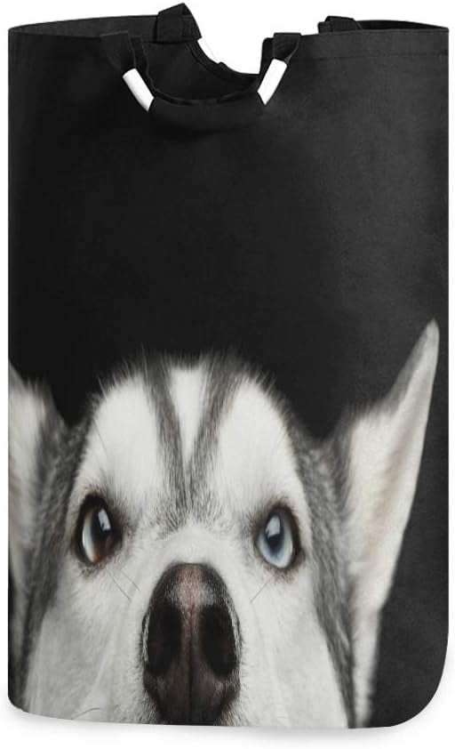 22.7 Inch Waterproof Foldable Laundry Hamper with Siberian Husky Design ...