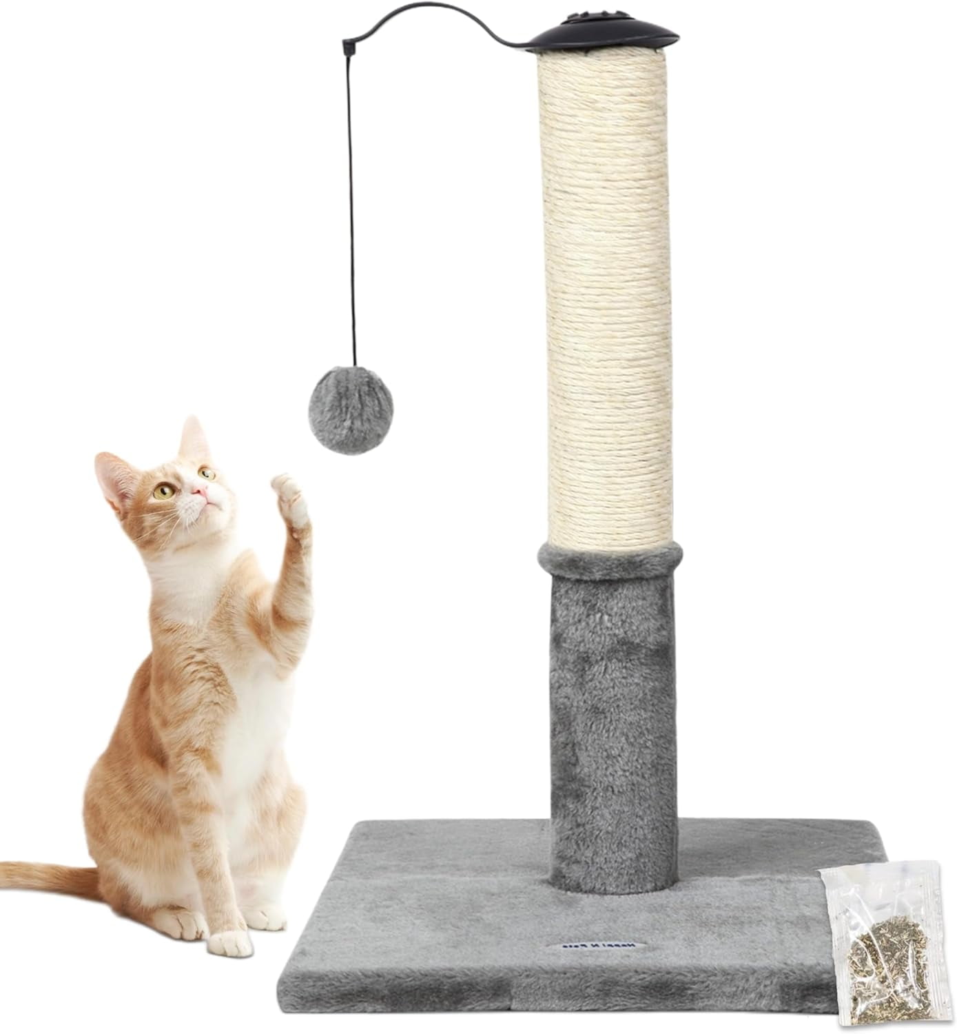22" Cat Scratching Posts for Indoor Cats, Carpet Cat Scratch Post ...