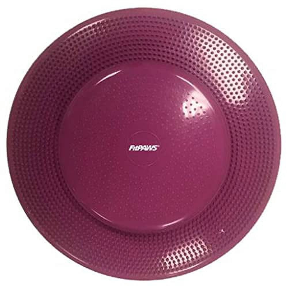 22" FitPAWS® Dog Training/Rehabilitation Balance Disc, Razzleberry ...