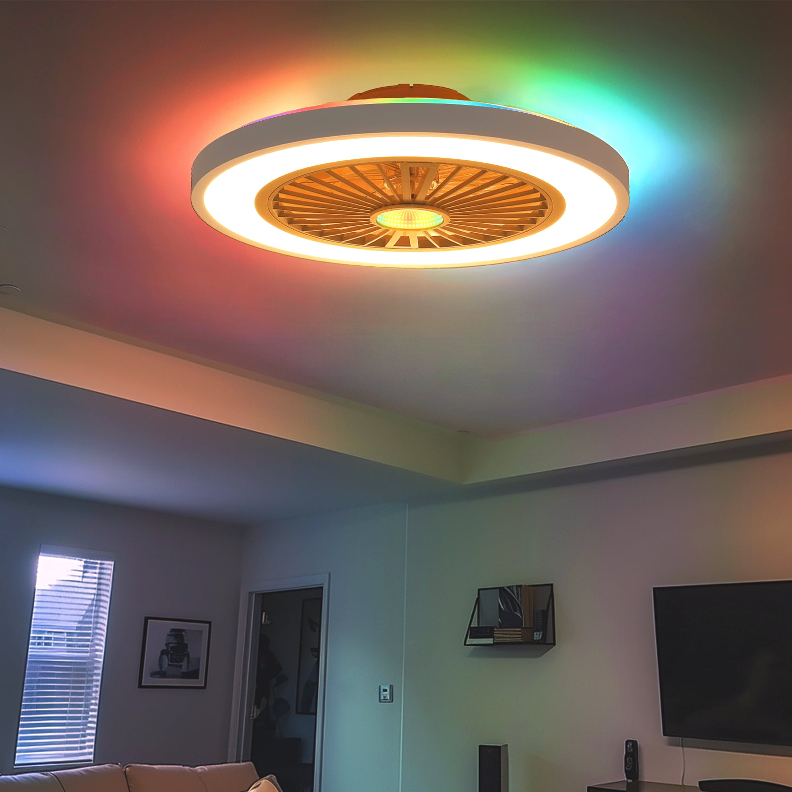 22 Inch Enclosed Ceiling Fans With Lights And Remote, Updated 3 In 1 ...