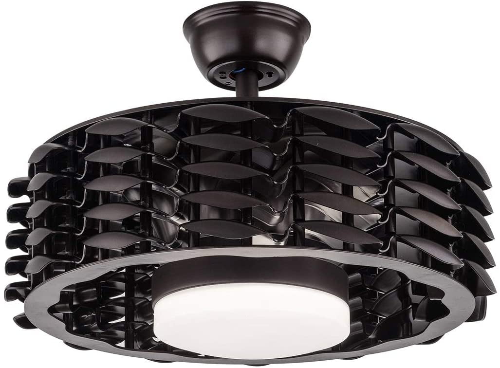 22 Inch Modern LED Leafless Ceiling Lamp with Remote Control ...