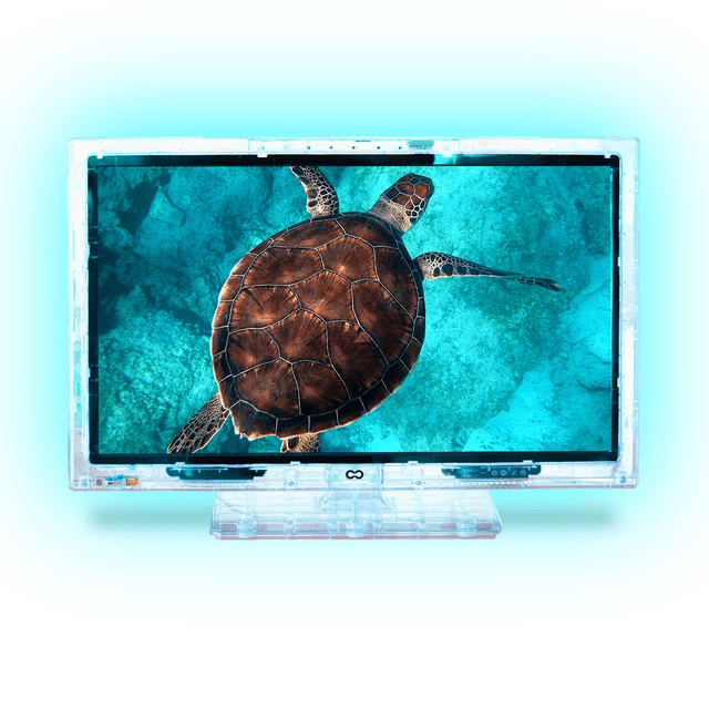 Continu.us 22-Inch Flat Screen Neon LED TV | Color-Changing, Non-Smart ...