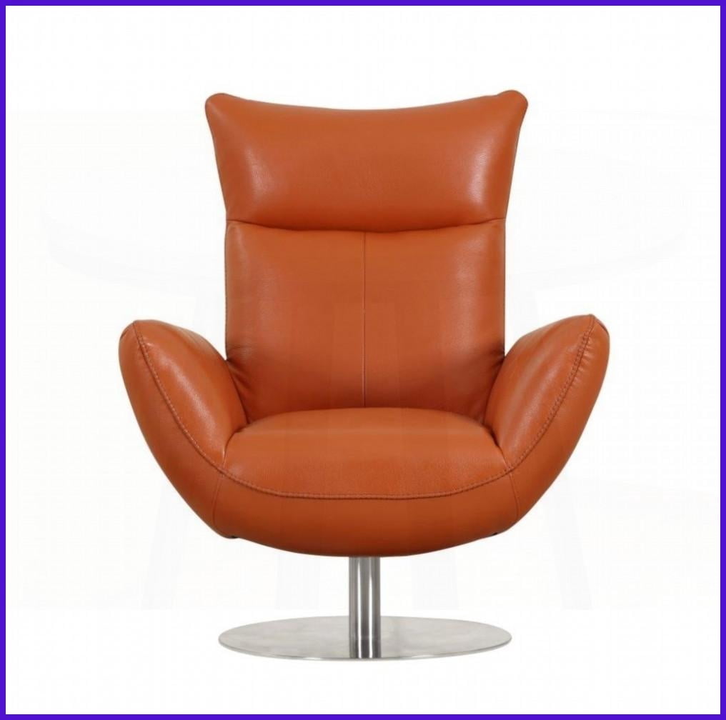 22" Modern Top Grain Italian Leather Lounge Chair with Kiln-Dried ...