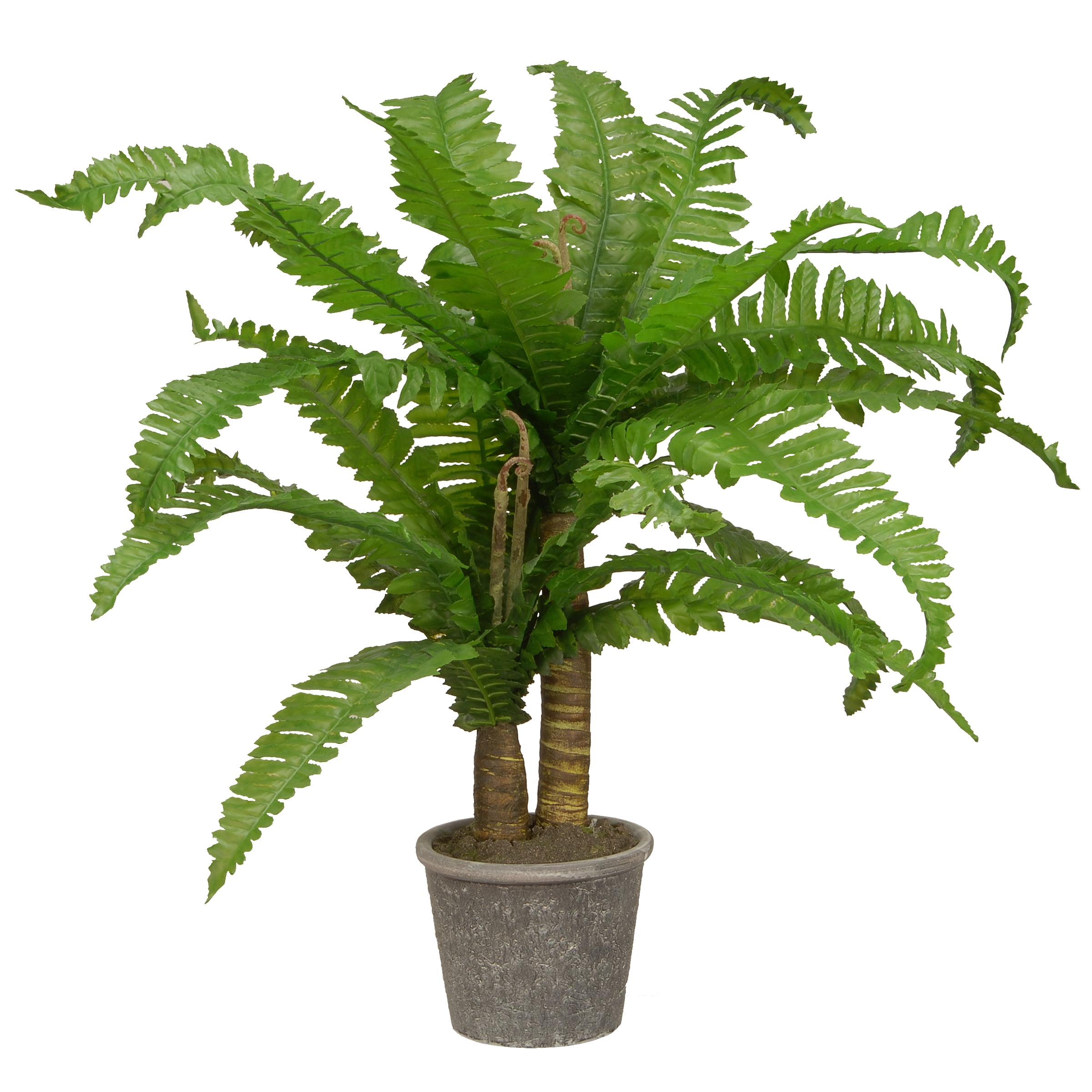 22" Persian Grass Plant - Walmart Business Supplies