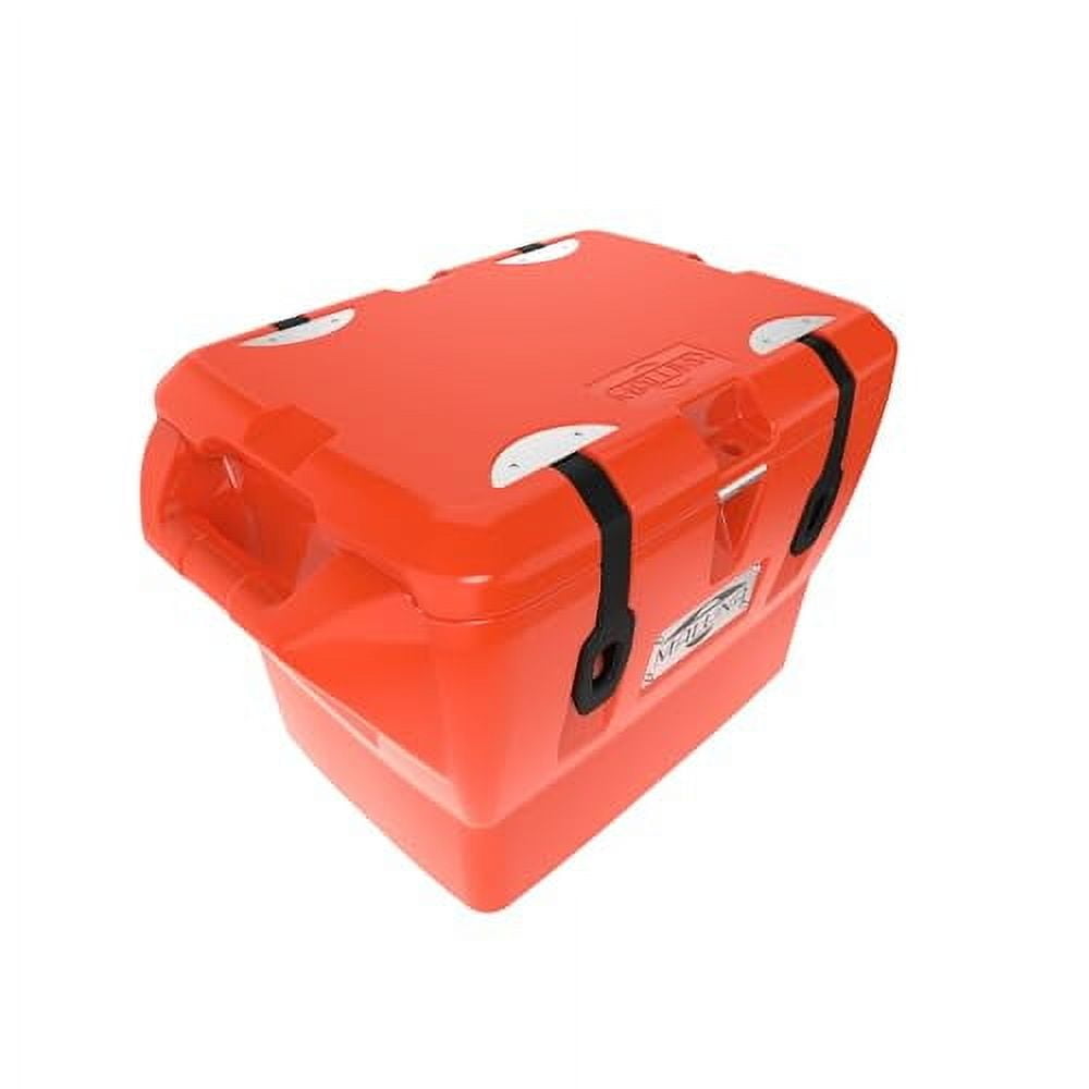 22 Quart Hard Cooler Insulated Portable Ice Chest Box for Beach, Drink ...