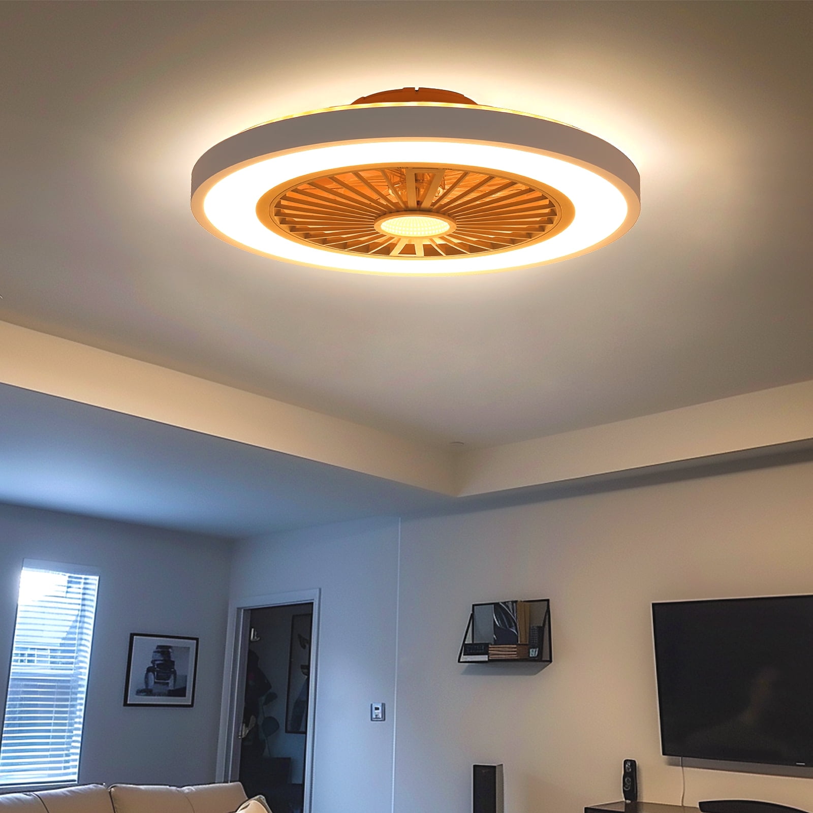 22'' Small Ceiling Fan with Light and Remote, Dimmable Fandelier ...