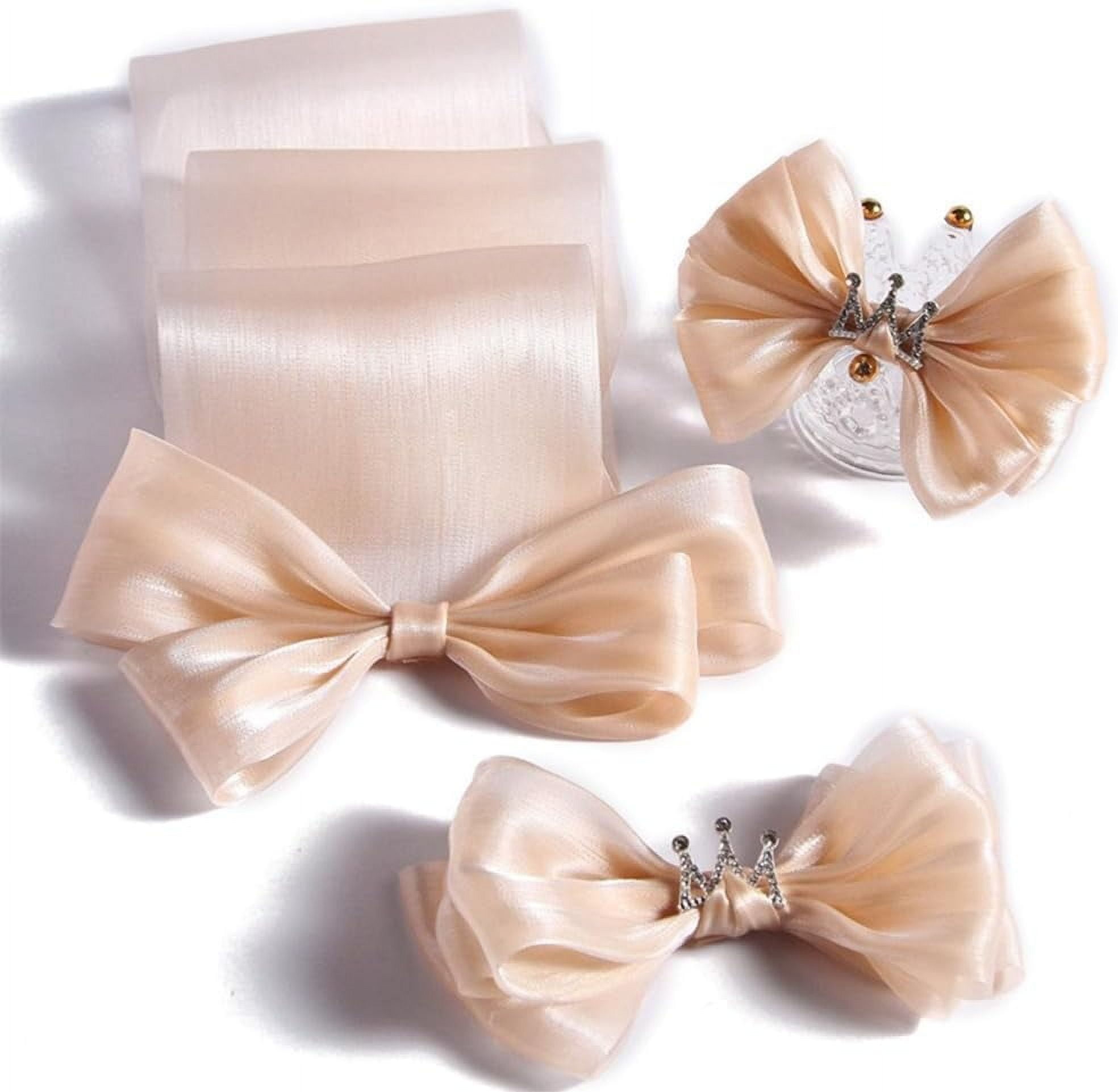 22 Yards 1.5 Inch Champagne Sheer Ribbon Transparent Organza Mesh ...