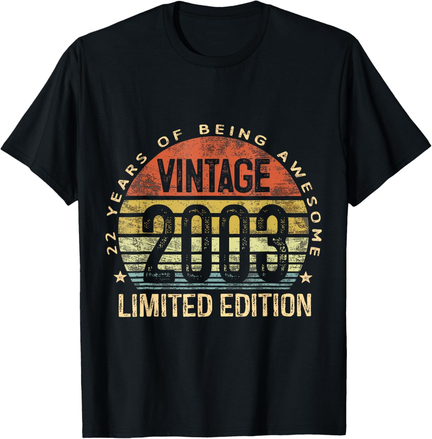 22 Year Old Gifts Vintage 2003 Limited Edition 22Th Birthday T-Shirt ...