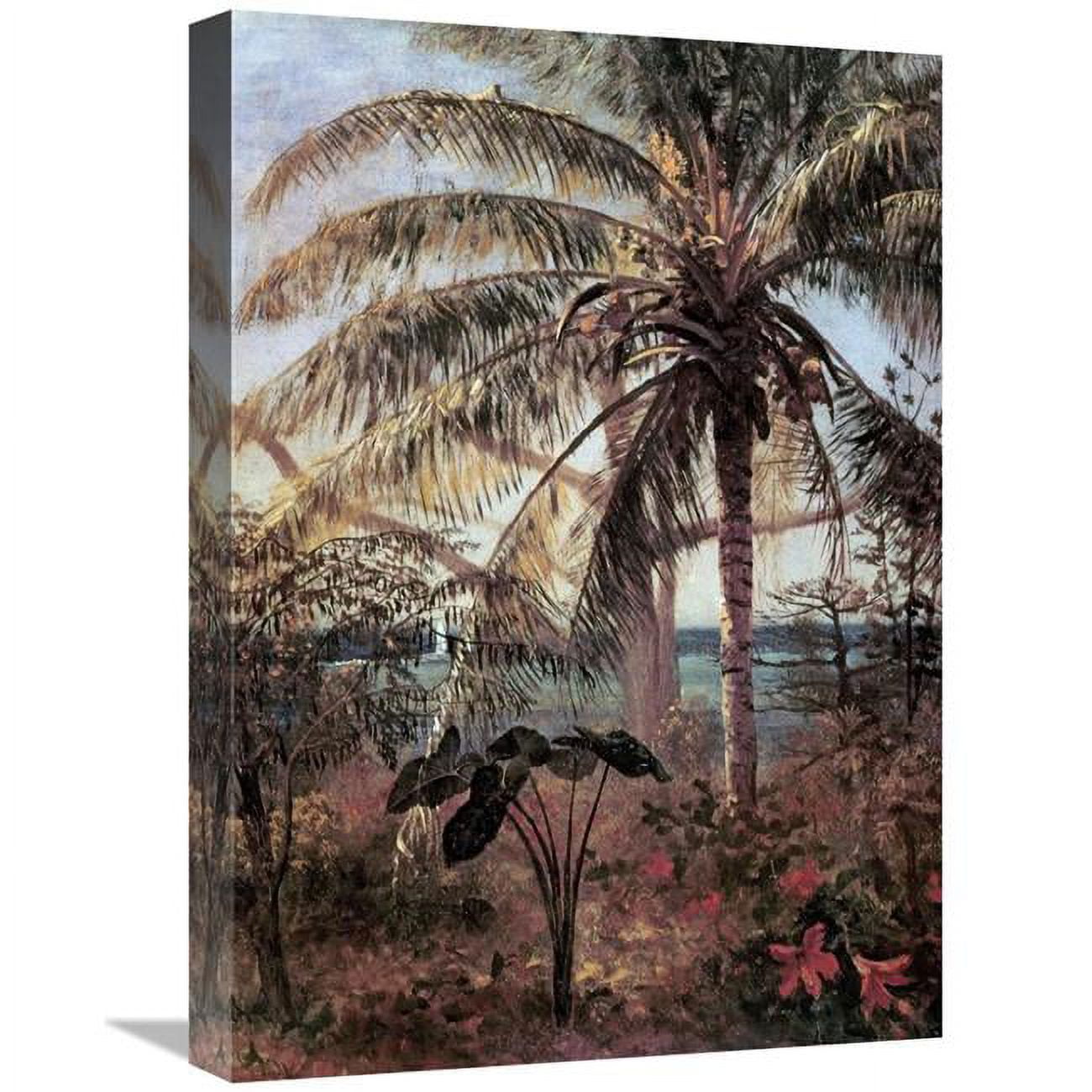 22 in. Palm Tree, Nassau Art Print - Albert Bierstadt - Walmart.com