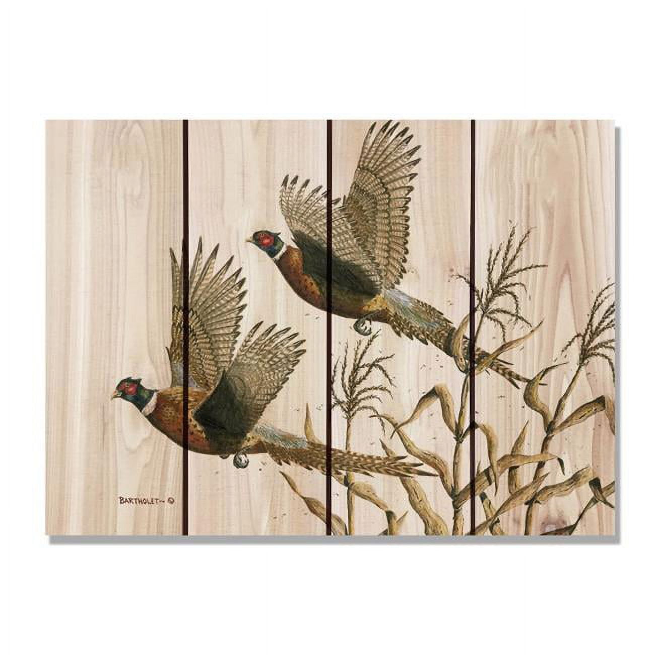 22 x 16 in. Bartholets Long Tails Inside & Outside wood Wall Art ...