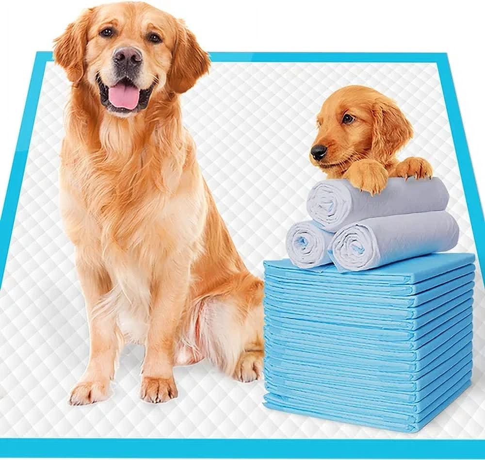 22" x 22" 200 Pcs Premium Disposable Training Pads, Pee Pads, Training ...