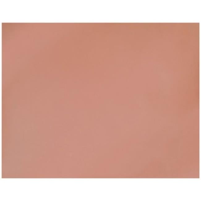 22 x 28 in. Metallic Poster Board for Classroom, Poster, Mounting ...