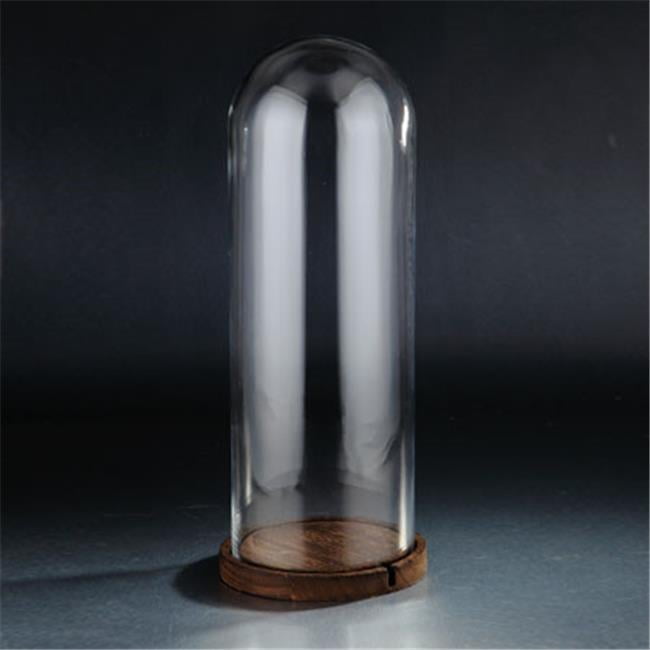 22 x 8.5 in. Dome with Wood Base, Clear - Walmart.com
