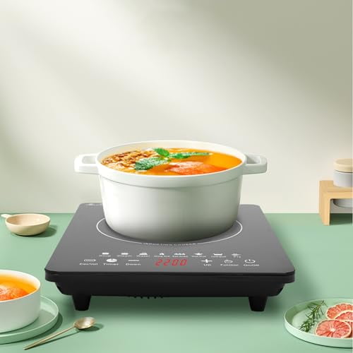 2200W Portable Induction Burner, Electric Induction Countertop Burner ...