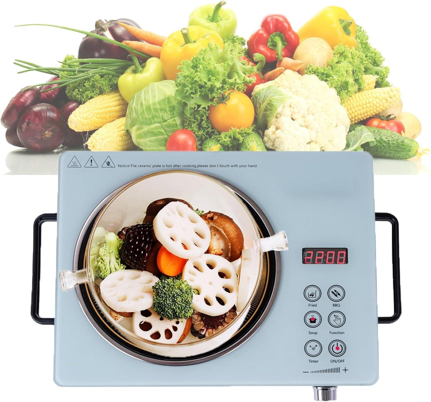 220V 2200W Single Burner Electric Cooktop, Portable Countertop Electric ...