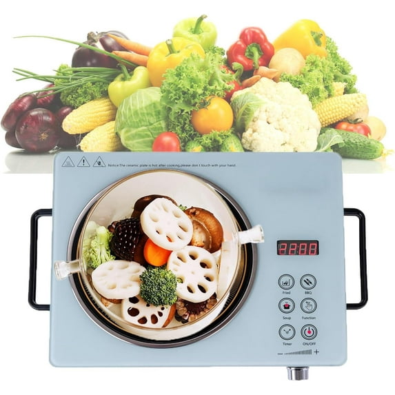 220V 2200W Single Burner Electric Cooktop, Portable Countertop Electric ...