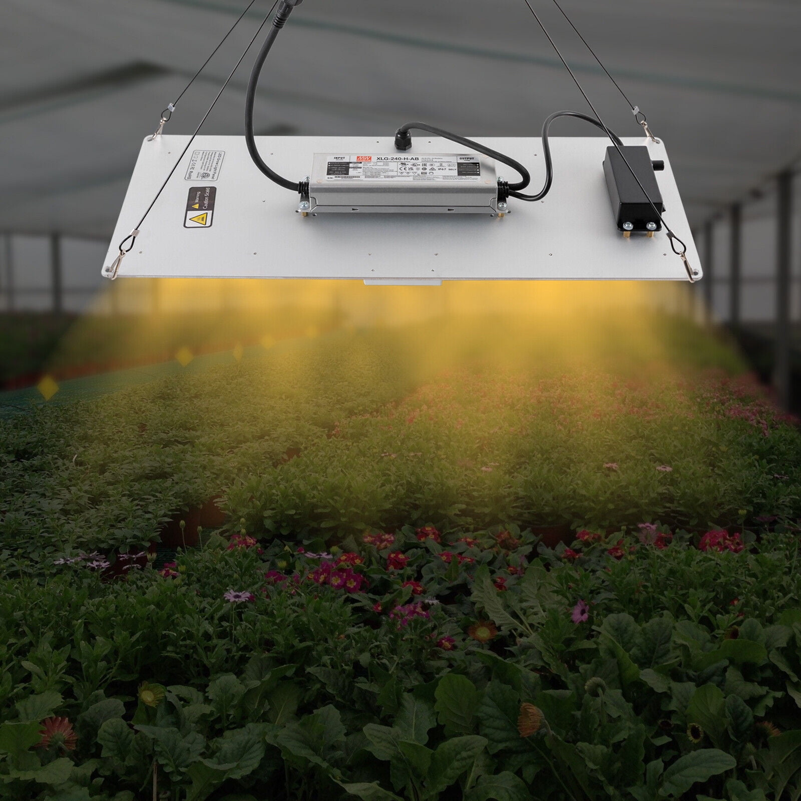 220W LED White Grow Light Full Spectrum Dimmable for Indoor Plants ...
