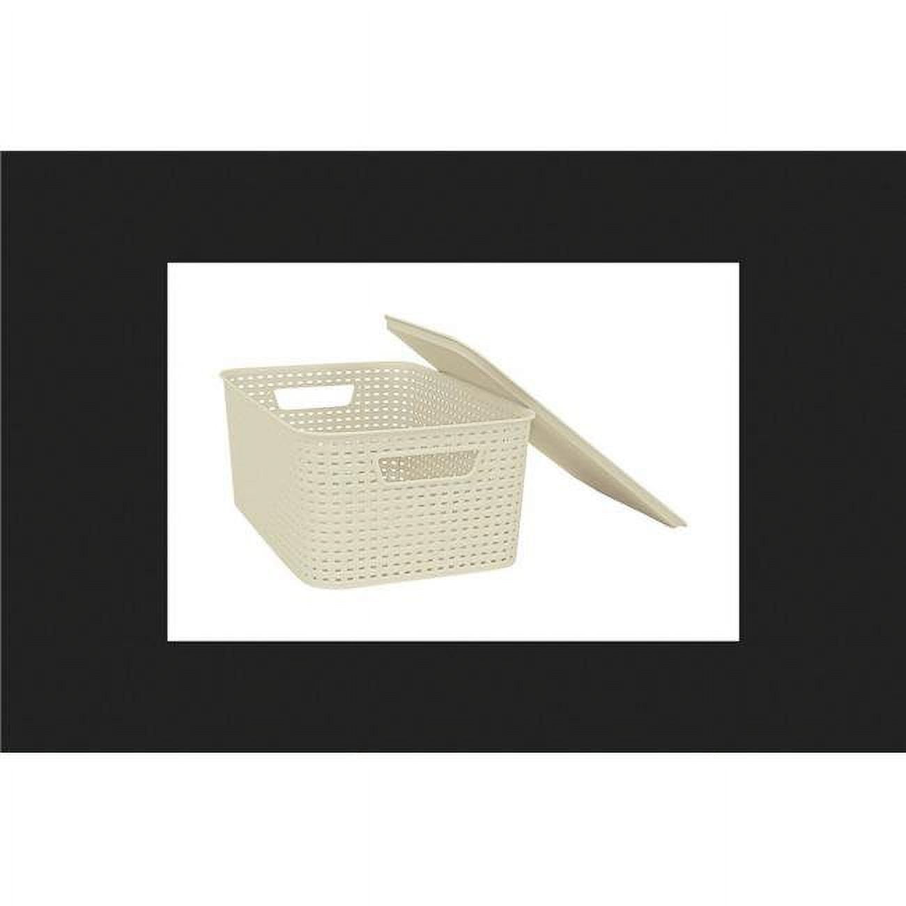 2211003 5.1 X 10.8 X 7.2 in. Plastic Wicker Storage Boxes with Lid ...