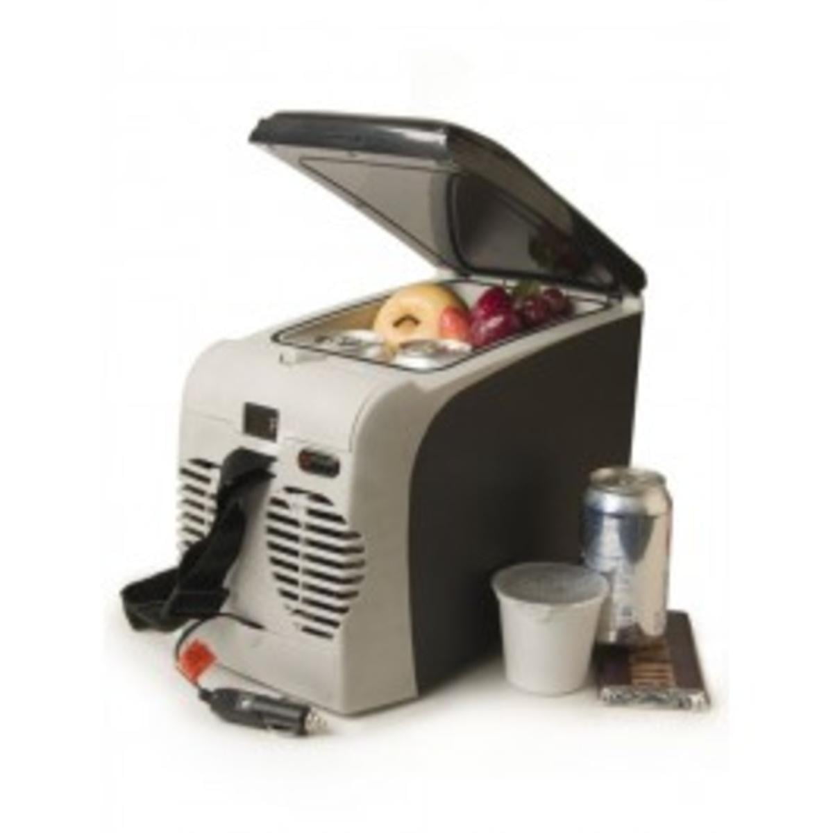 12V 6L Thermo Electric Fridge/Warmer - Walmart.com