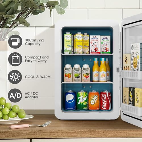 22L/30Cans Mini Fridge for Bedroom, 12v DC Portable Cooler & Warmer ...