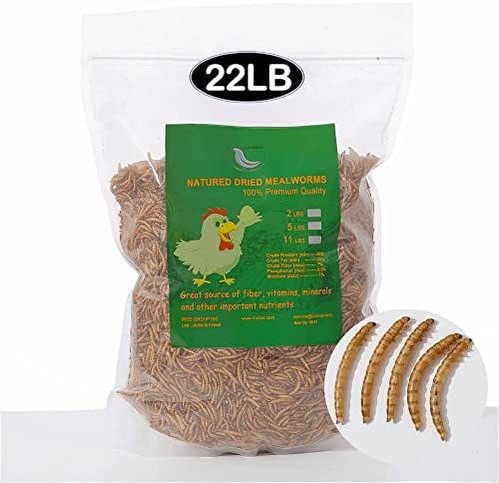 22LB Non-GMO Dried Mealworms for Wild Bird Chicken Fish,High-Protein ...