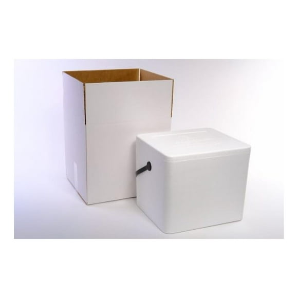 Foam Cooler Box