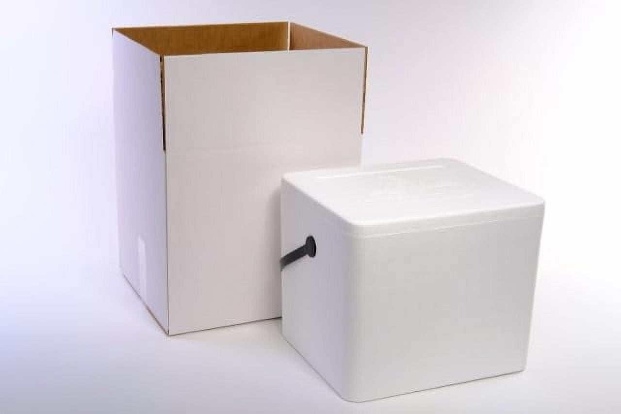 22qt Styrofoam Cooler | Large Lightweight Insulated Ice Chest for Food ...