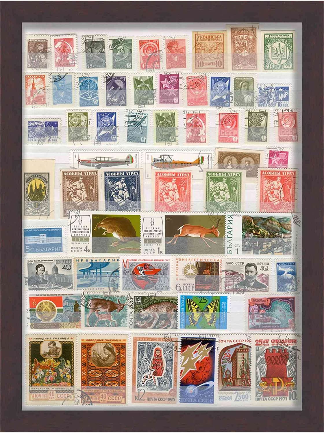 22x15 Walnut Shadowbox Frame - Shadow Box Frame Interior Size 22x15 x 1 ...