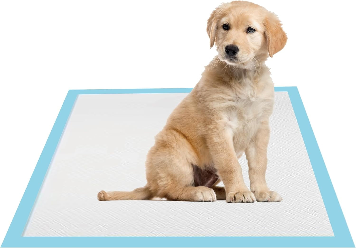 22x22 Dog Pee Pads 100 Count, Charcoal Puppy Pads, Super Absorbent ...