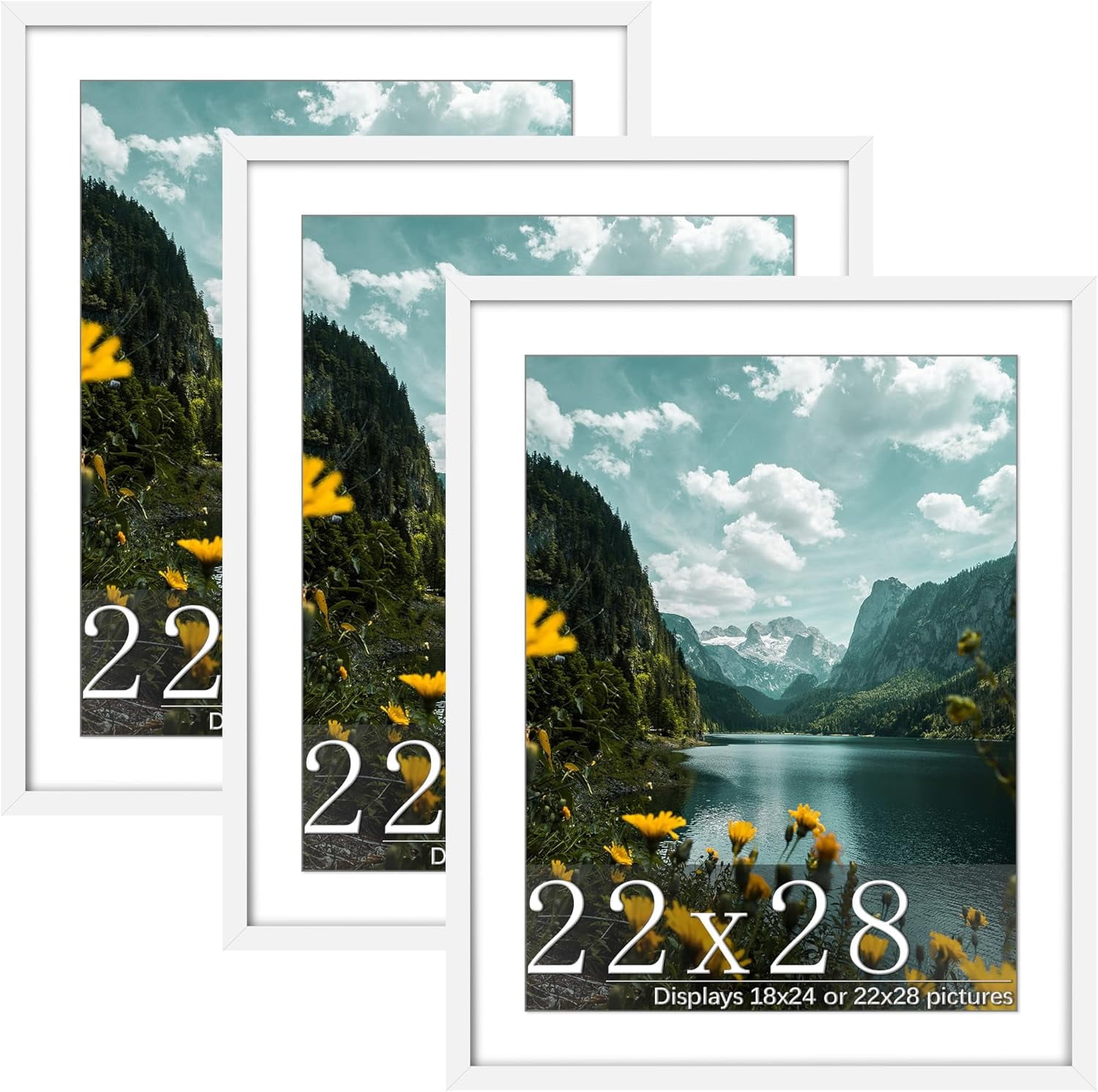 22x28 Frame 3 Pack, White Poster Frame, Display Poster 18 x 24 with Mat ...