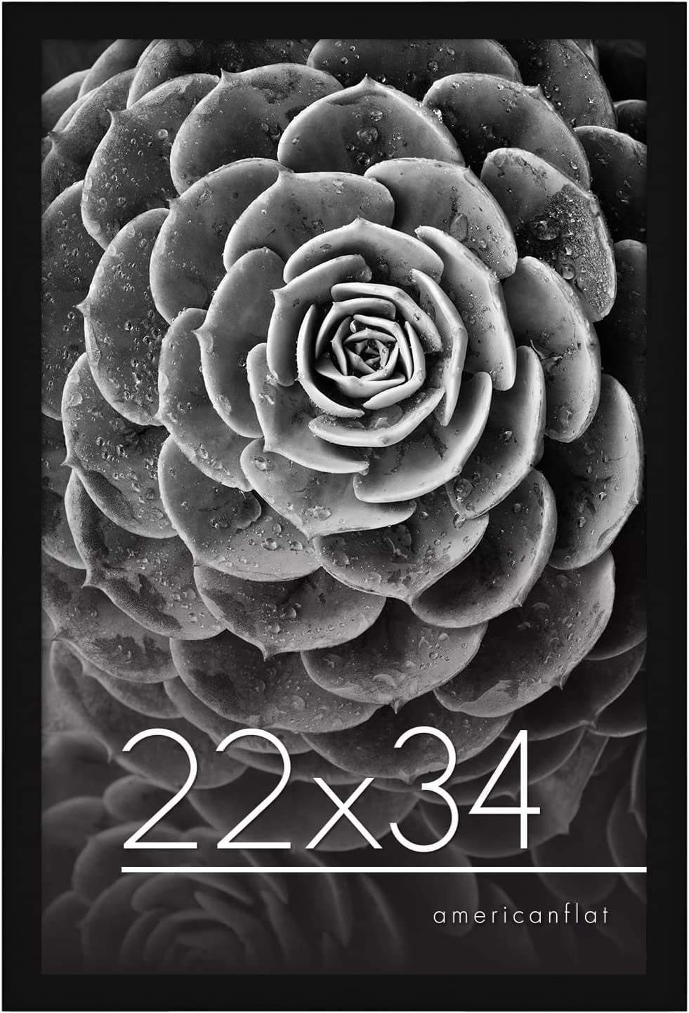 22x34 Poster Frame with Polished Plexiglass - Black Picture Frame ...