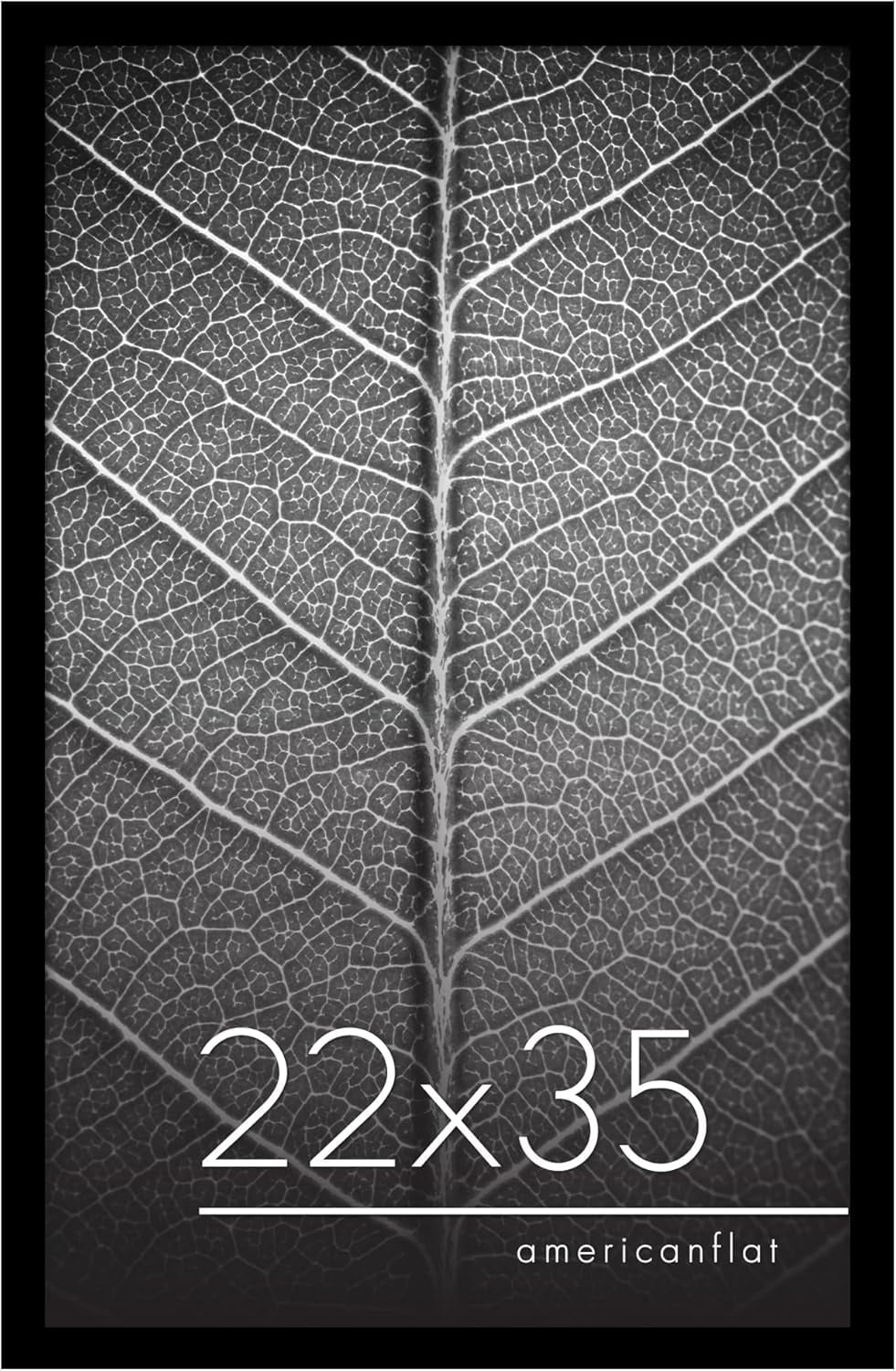 22x35 Poster Frame with Polished Plexiglass - Black Picture Frame ...