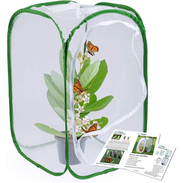23.6 Inches Professional Butterfly Habitat Insect Cage ,Caterpillar ...