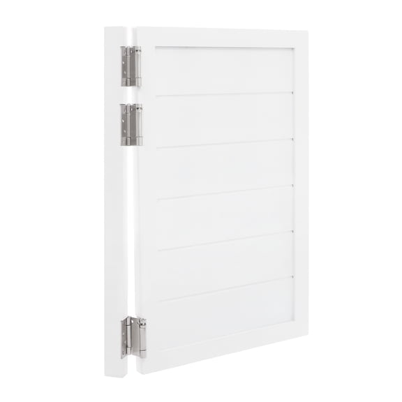 Swinging Door