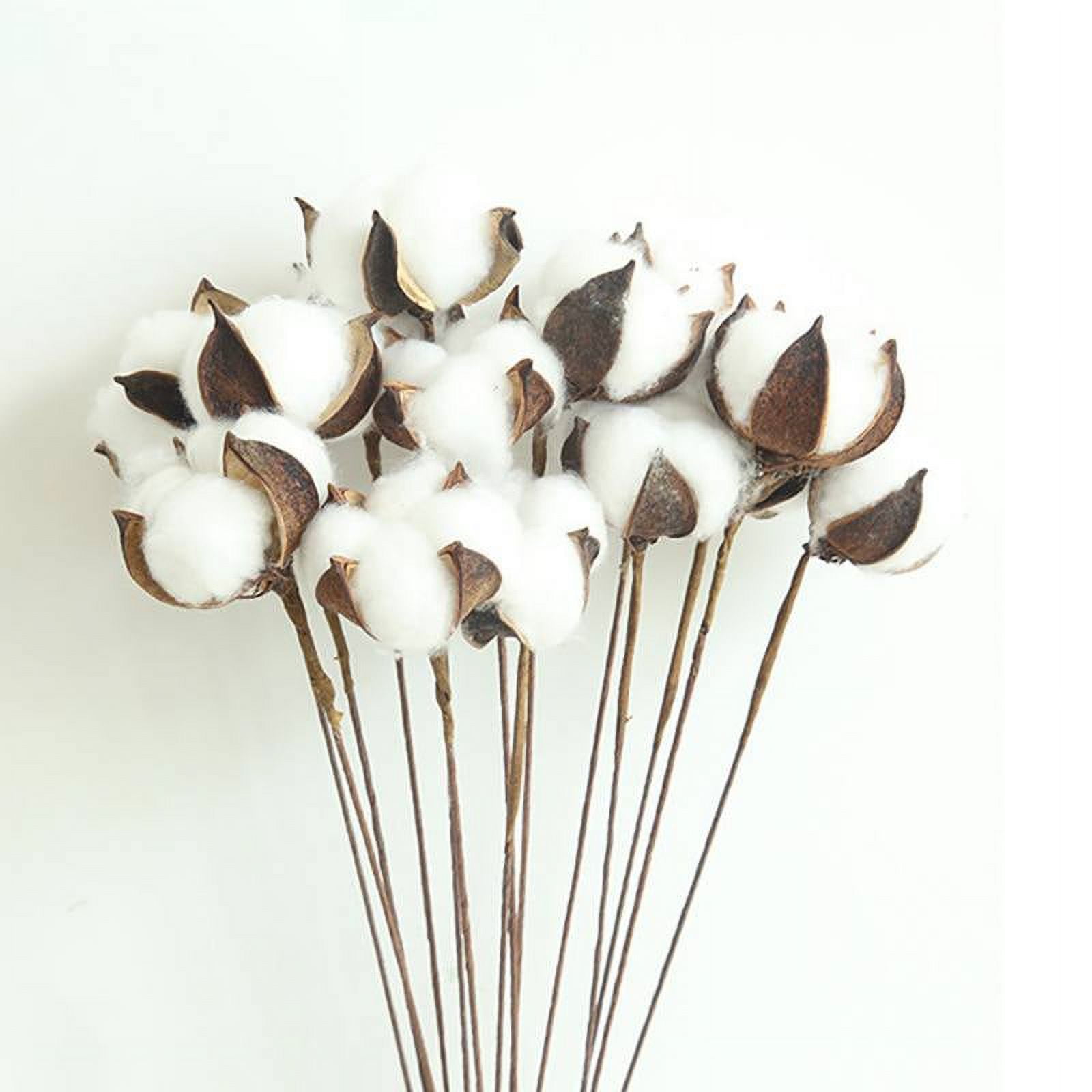 23 Inches 10pcs Cotton Stems, Fake Cotton Flowers Dried Cotton Picks ...