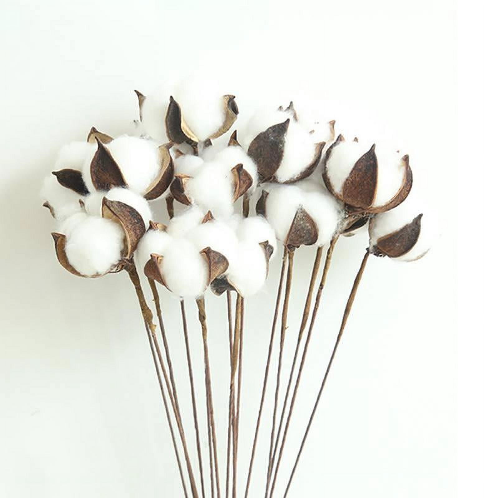 23 Inches Natural White Cotton Stems Farmhouse Rustic Style Vase ...