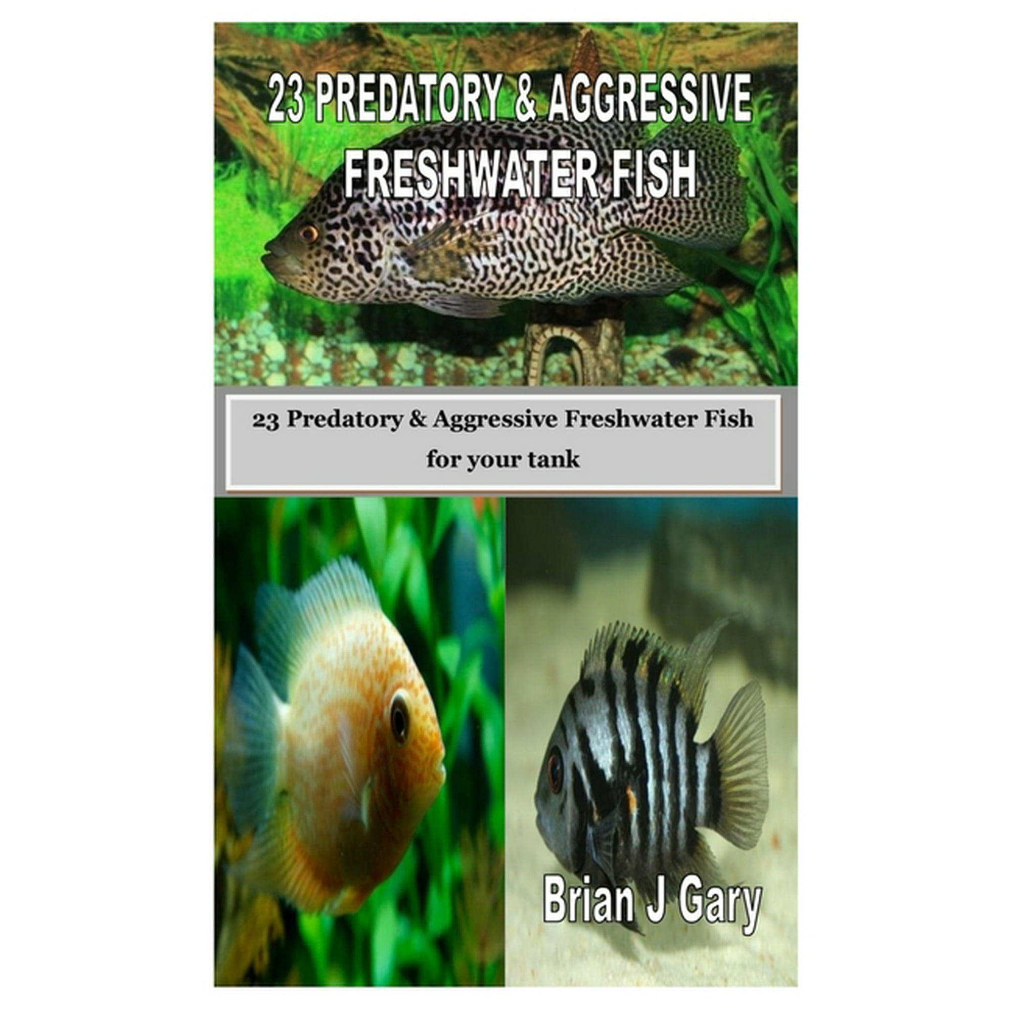 Aggressive Freshwater Pet Fish