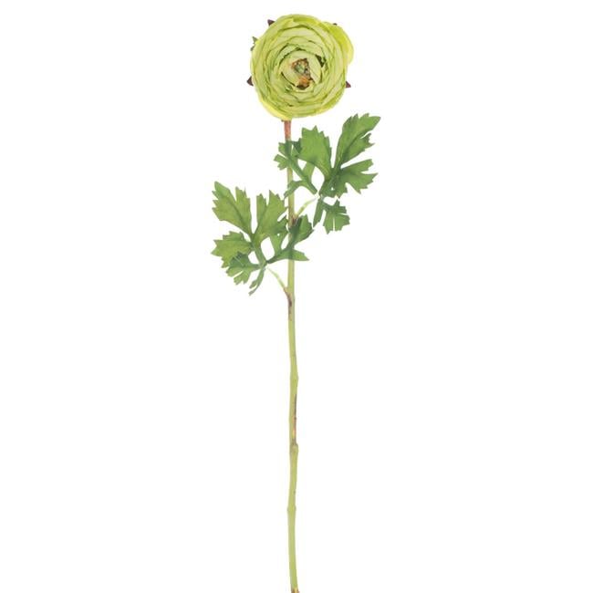 23 in. Green Ranunculus Stem - Walmart.com