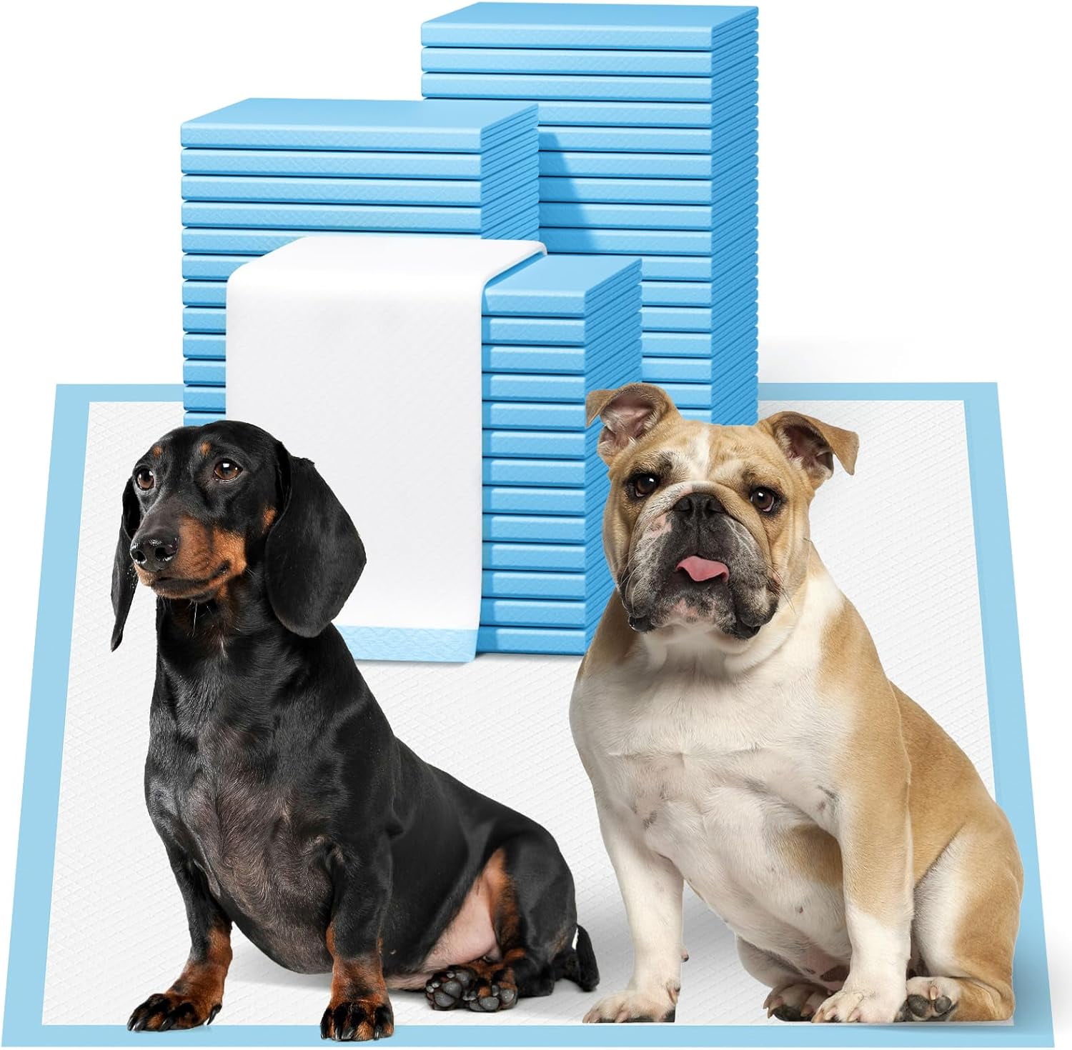 23" x 23" Puppy Pads 200 Count | 6-Layer Absorbent & Leak-Proof Puppy ...